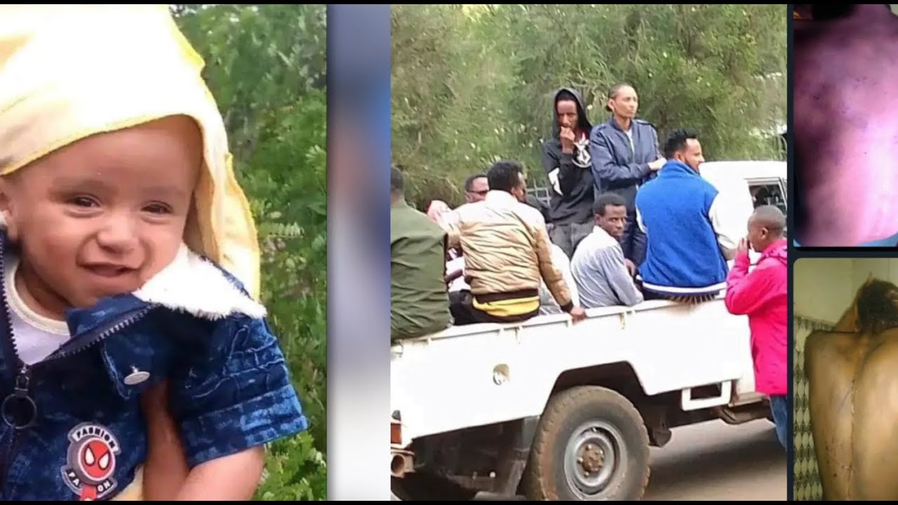 Oromia11 Oduu 8 17 2023 Youtube