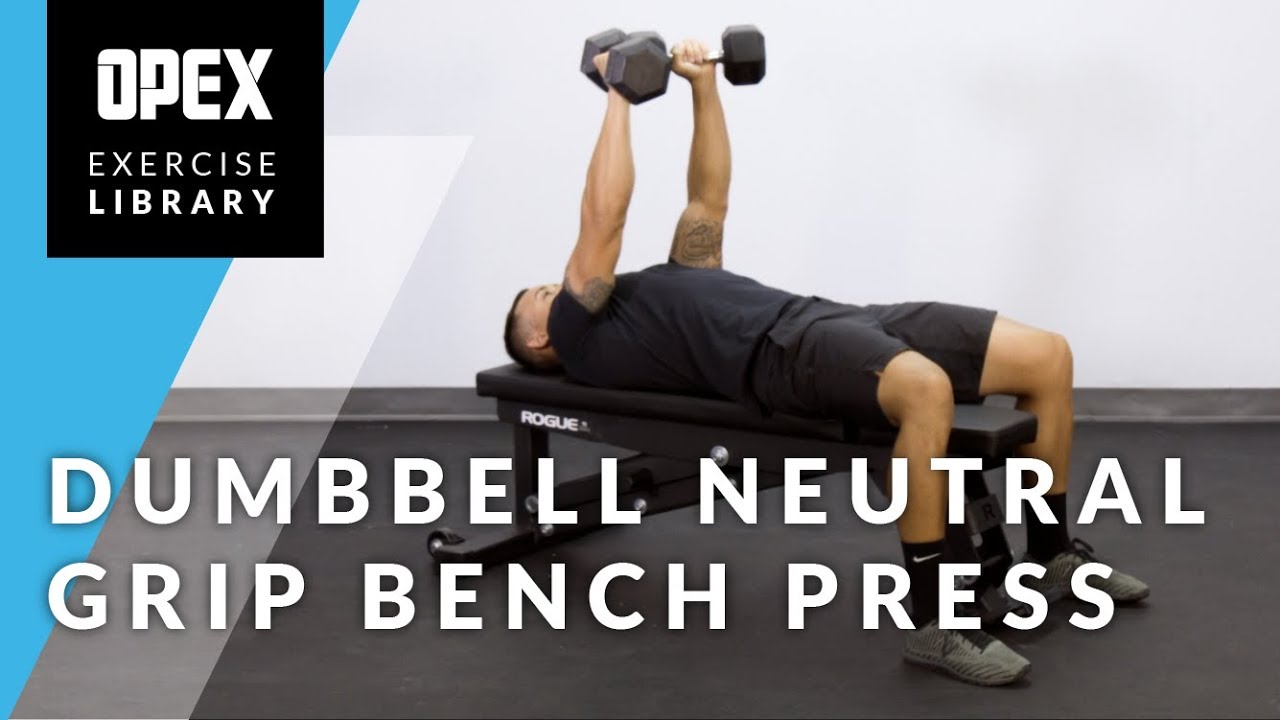 Dumbbell Neutral Grip Bench Press Opex Exercise Library Youtube