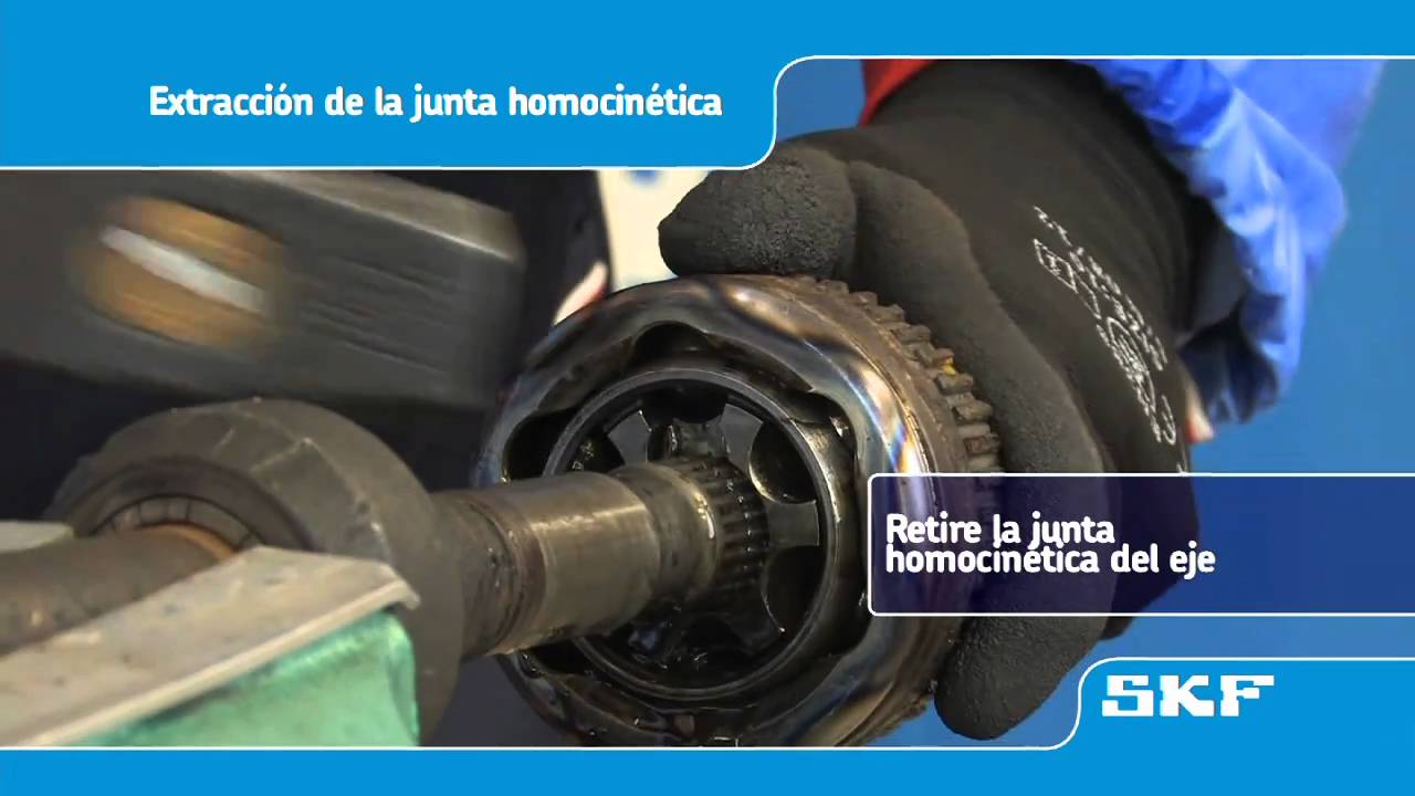 Partes De Una Flecha Homocinetica