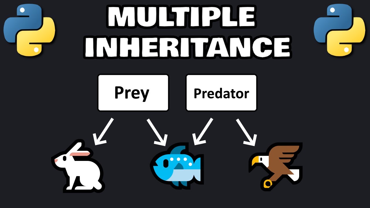 Python Multiple Inheritance Is Easy рџђџ Youtube