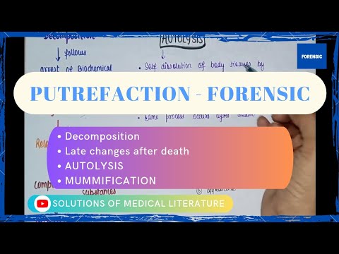 Putrefaction Decomposition Forensic Autolysis Mummification