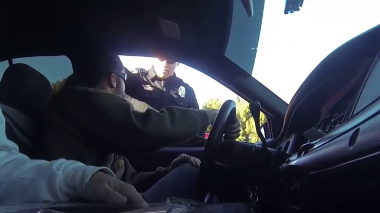 Cops Getting Owned 2018 Youtube