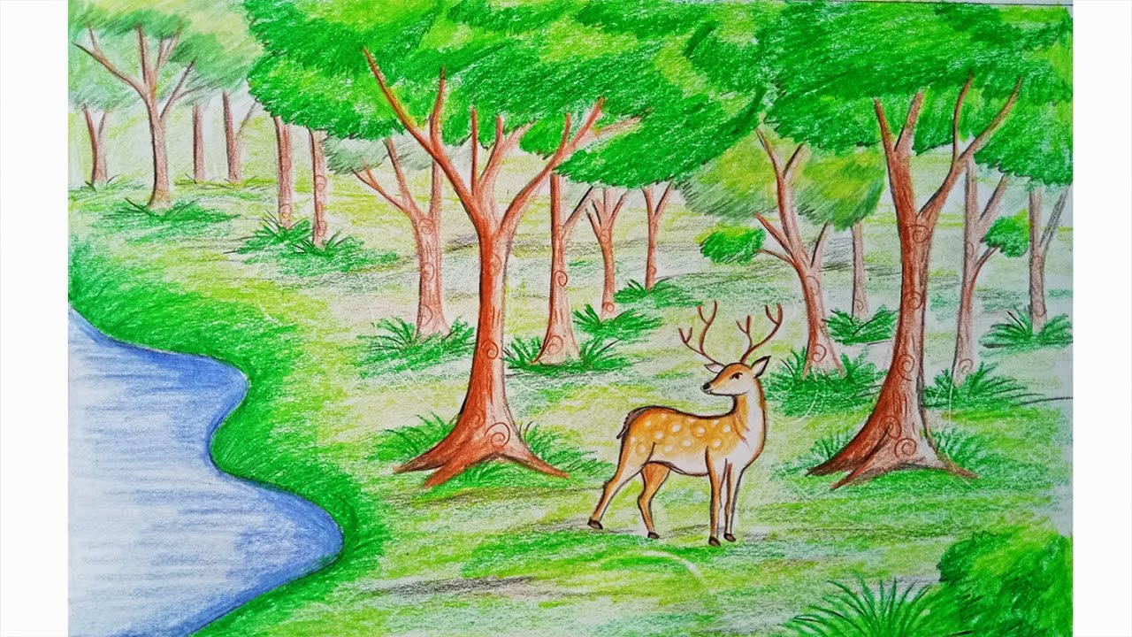 How To Draw Forest Scene Step By Step Very Easy Art Video Youtube