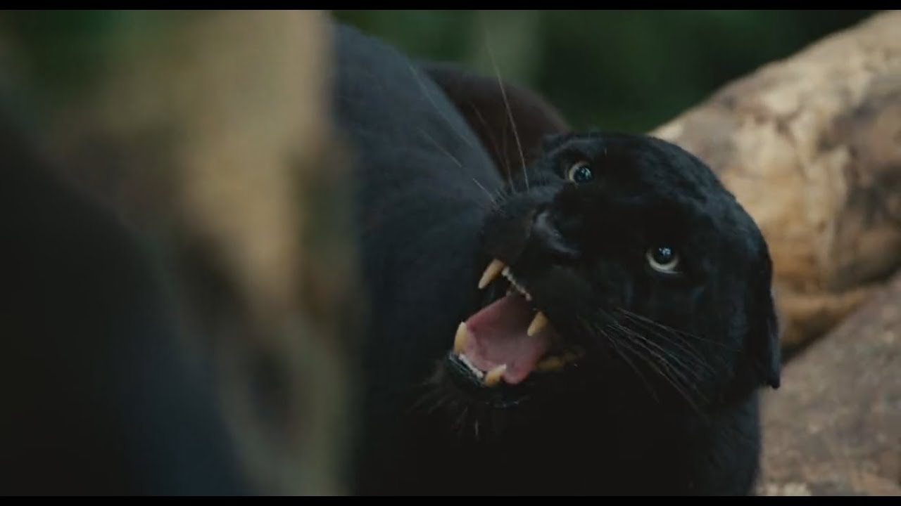 Forest Fight Scene Apocalypto Hd Youtube