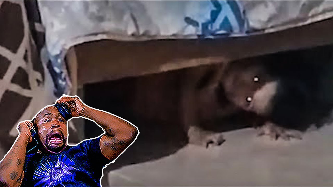 Scary Ghost Videos Compilation 24 Youtube