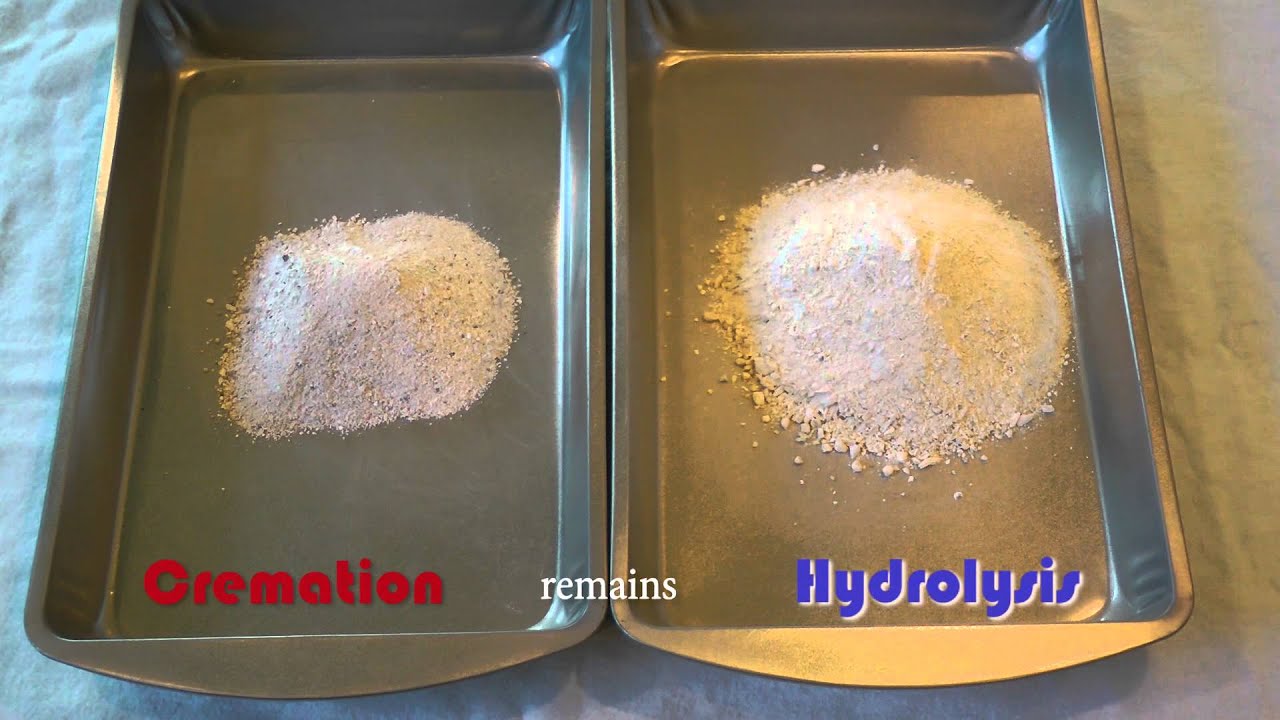 The Peaceful Pets Aquamation Process Youtube