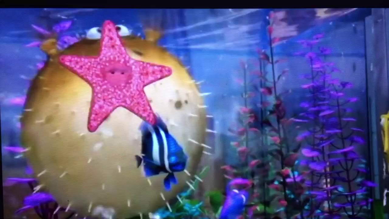 Bloat Finding Nemo Quotes