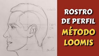 Cómo Dibujar Un Rostro De Perfil Método Loomis Doovi