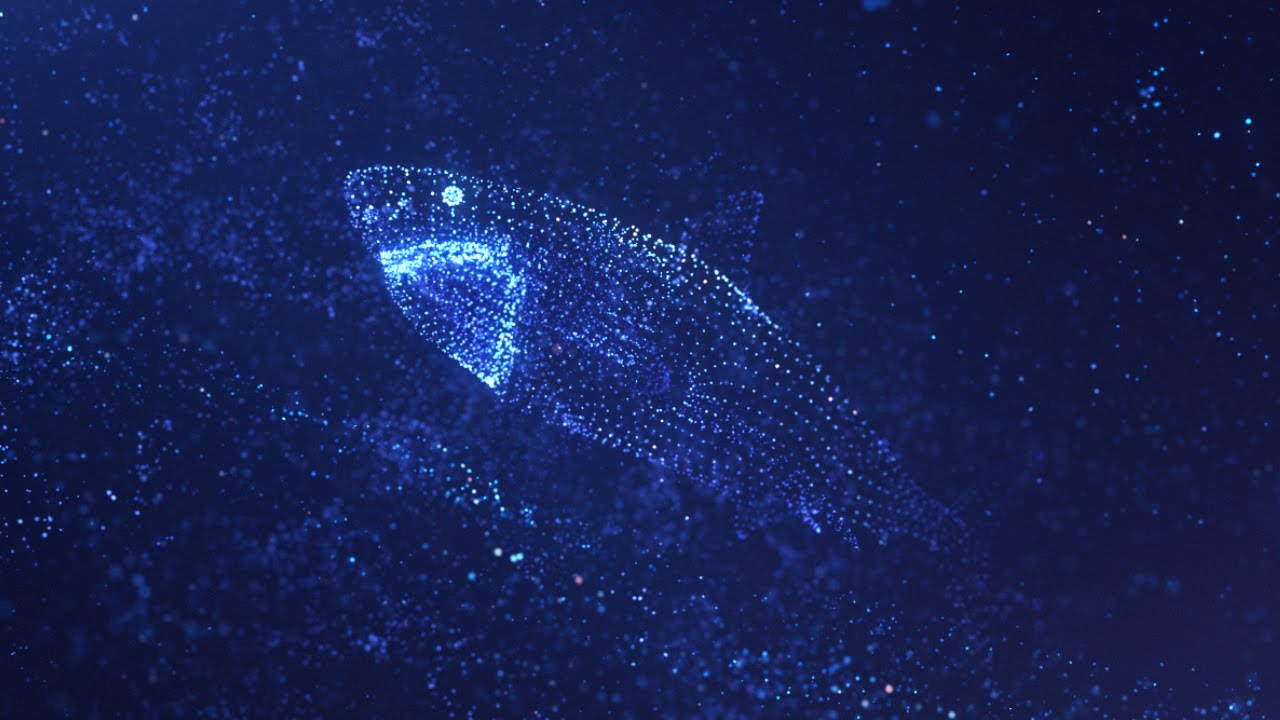 Trapcode Form Particle Life Youtube