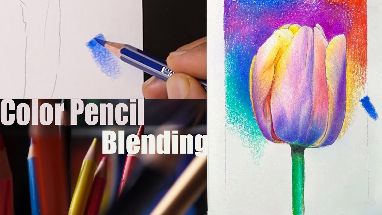 Blending Colored Pencils For Beginners At Pablo Joyce Blog