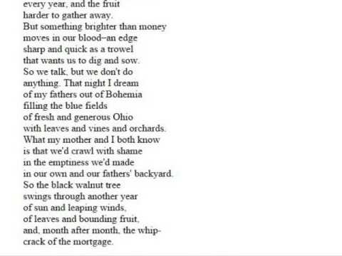 The Black Walnut Tree By Mary Oliver Annotated Youtube