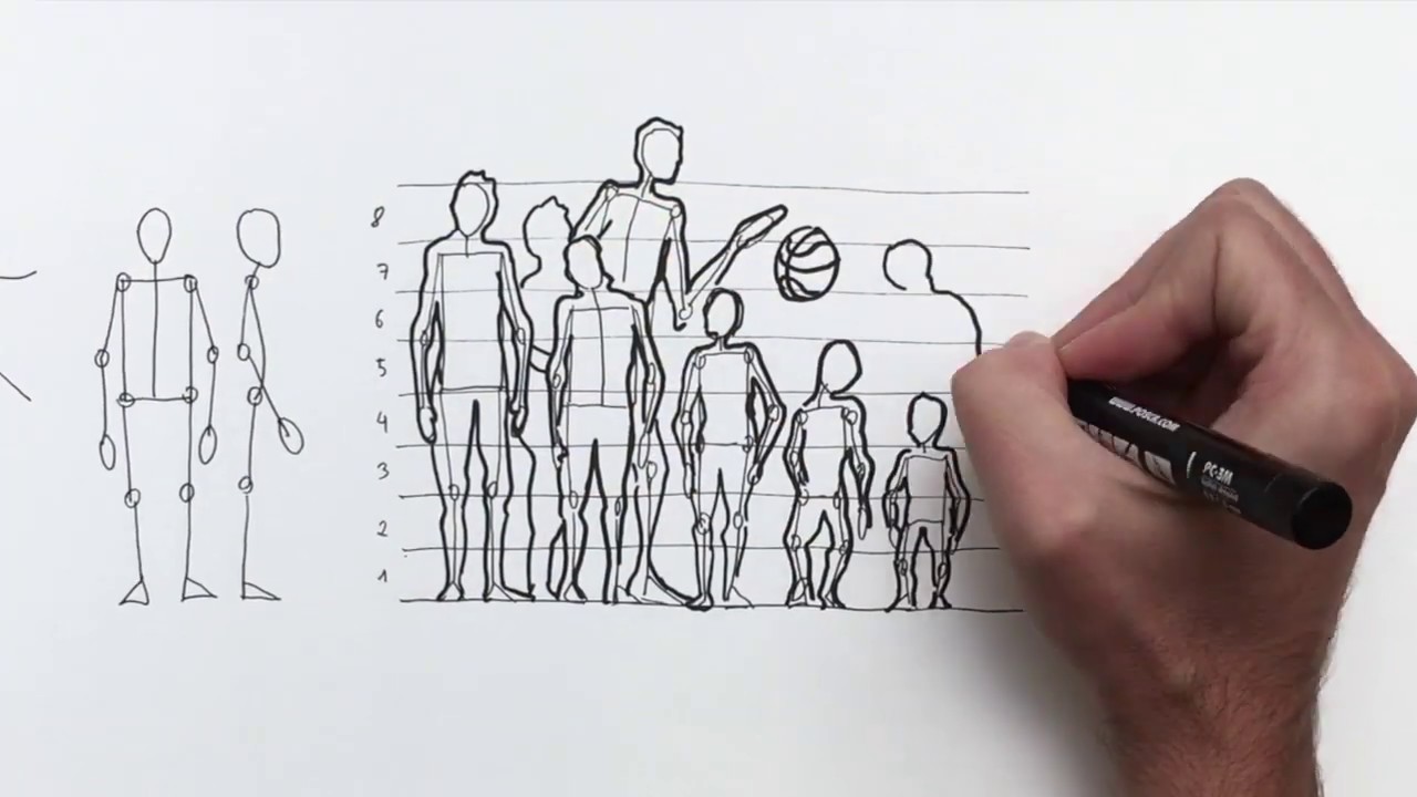 Medidas De Proporciones Humanas De La Mano Dibujar Las Manos Por