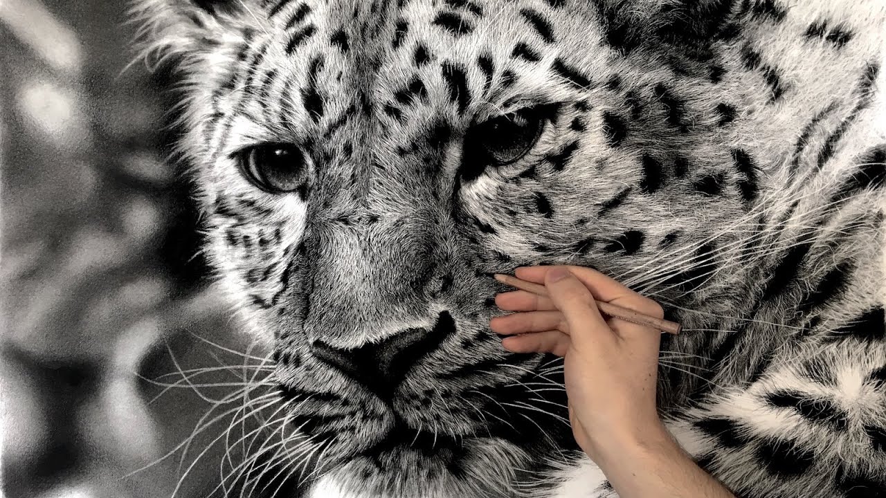 Hyperrealistic Leopard Drawing 80hour Time Lapse Youtube
