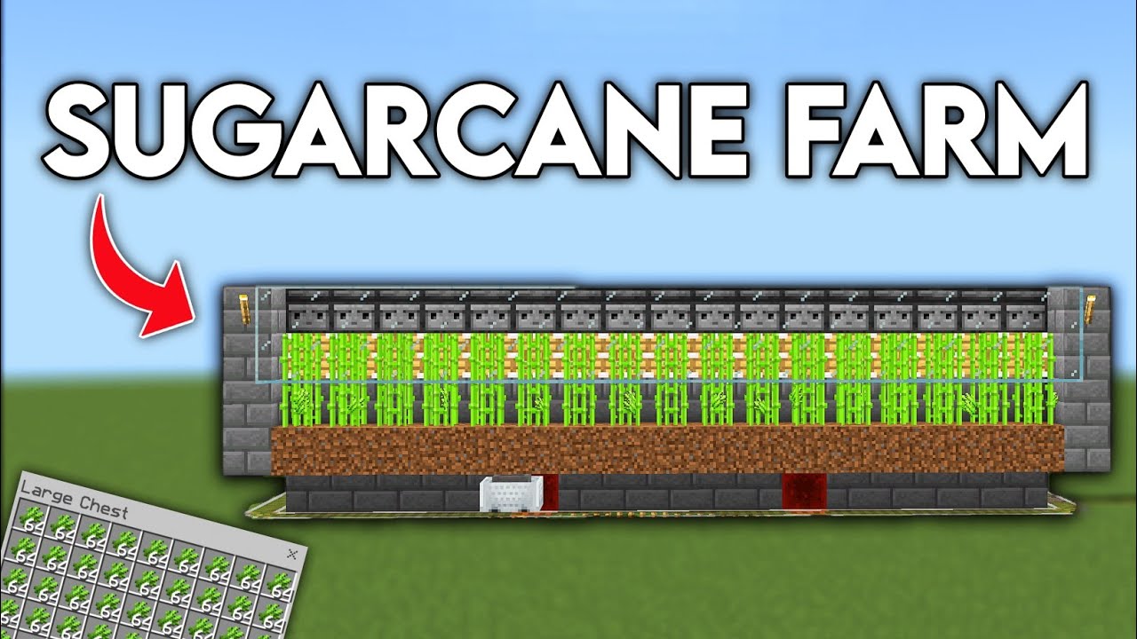 Easy Auto Sugarcane Farm 1 20 Minecraft Bedrock Java Edition Youtube