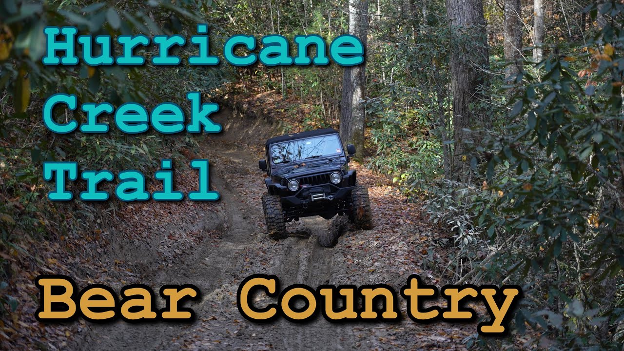 Hurricane Creek Trail And Max Patch Road In Nc Bear Country Youtube