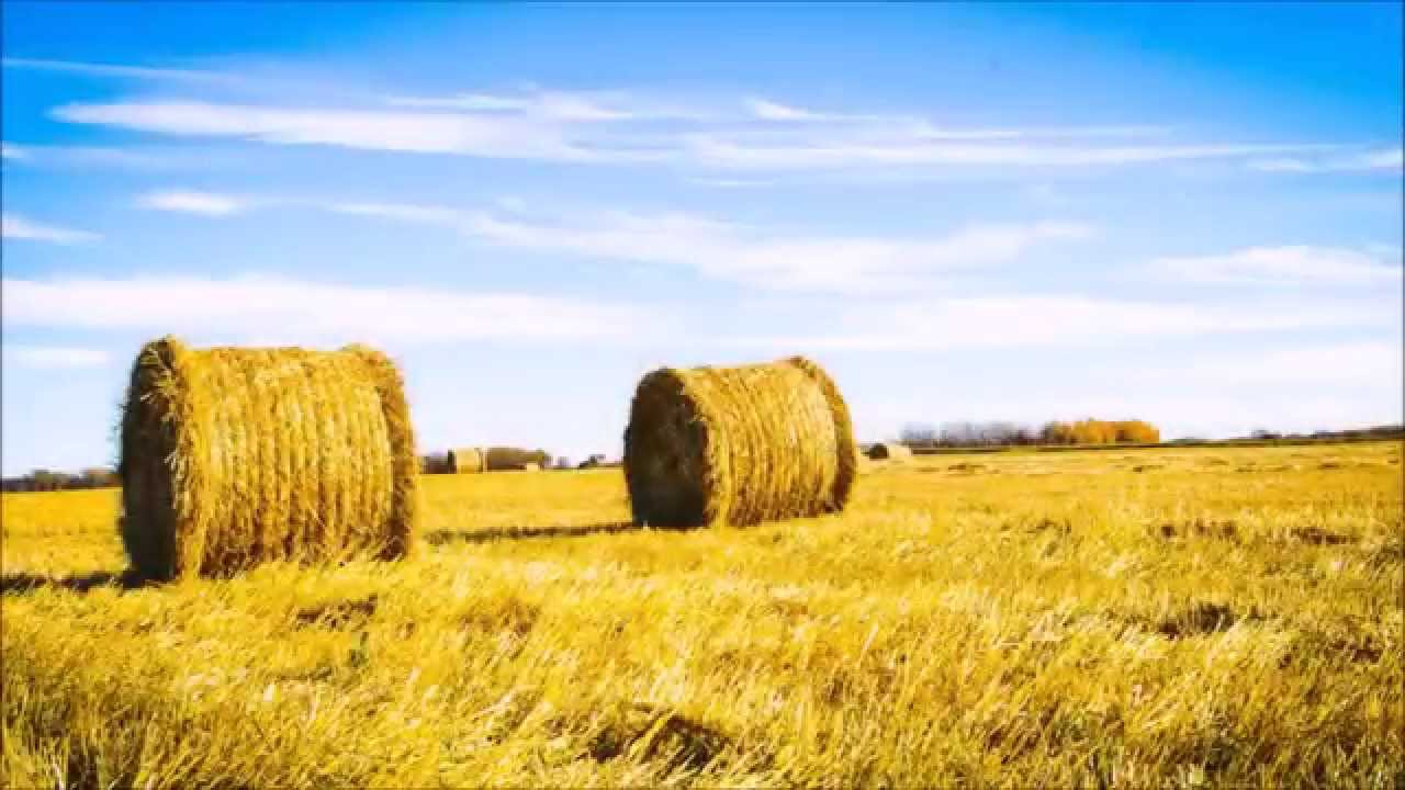 Saskatchewanderer Application 2016 Tanis Macala Youtube