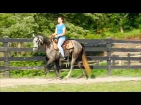 Shadow Ridge Stables Bullet S China Doll Youtube