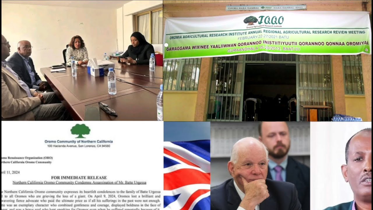 Oromia11 Oduu 4 12 2024 Youtube