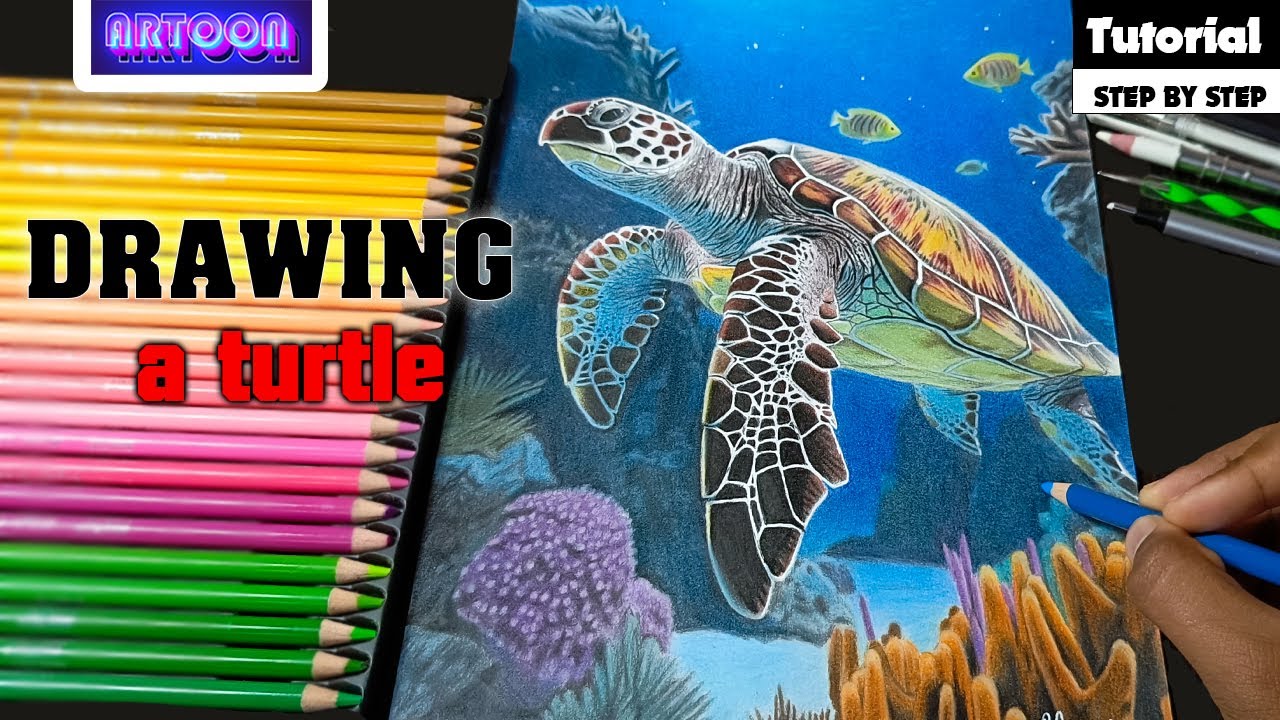 Drawing A Sea Turtle Marine Life Colour Pencil Drawing Youtube