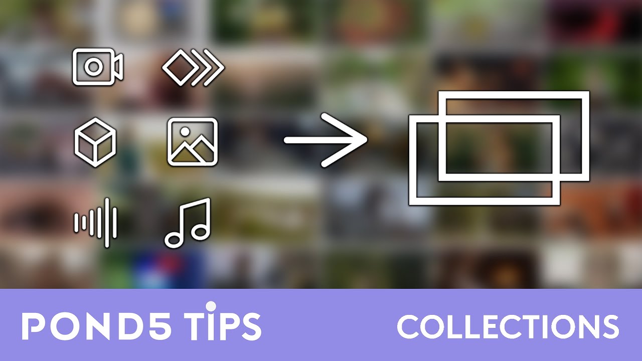 Pond5 Tips Using Collections Youtube