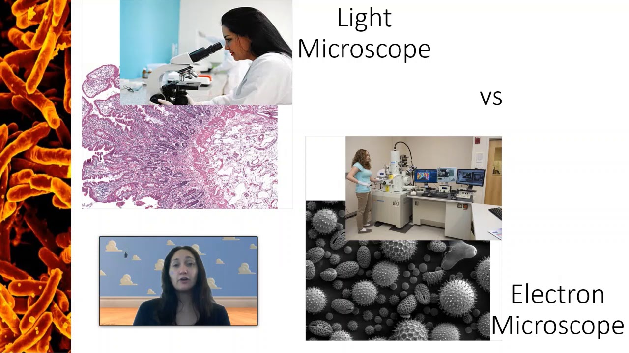 Digital Microscope Vs Optical Microscope At Luis Becker Blog