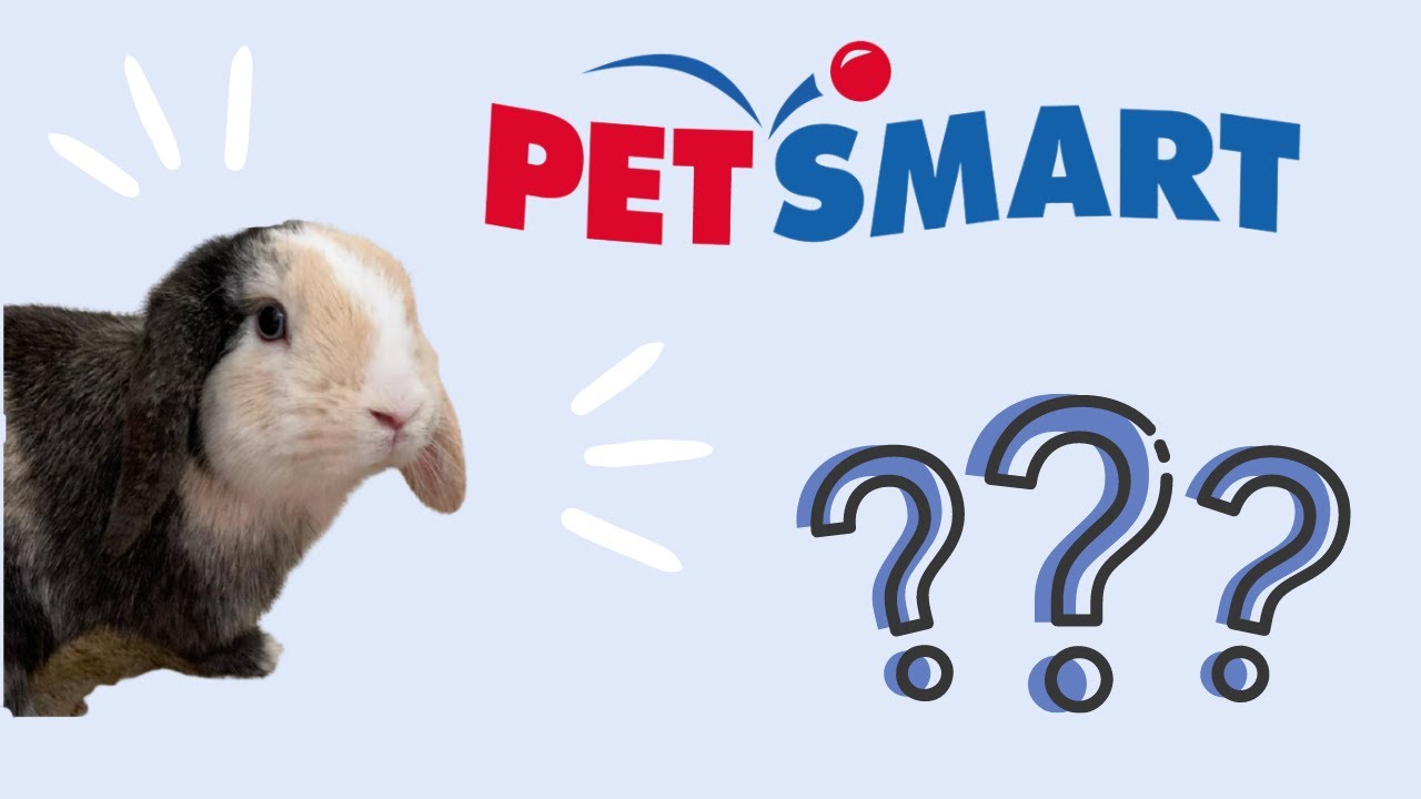 Petsmart Shopping Guide For Rabbits Shop With My Rabbit Heidi Youtube