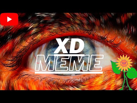 Xd Meme Music Xd Meme Vlog Copyright Free Music Youtube Music