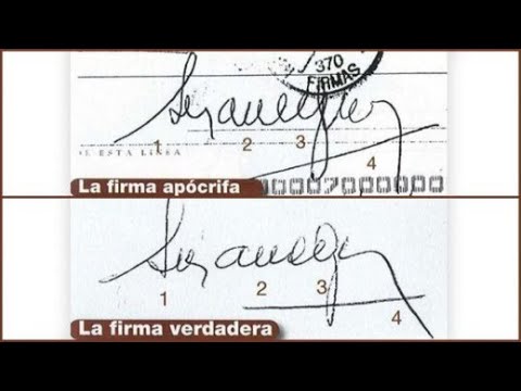 Grafoscopía Introducción Youtube
