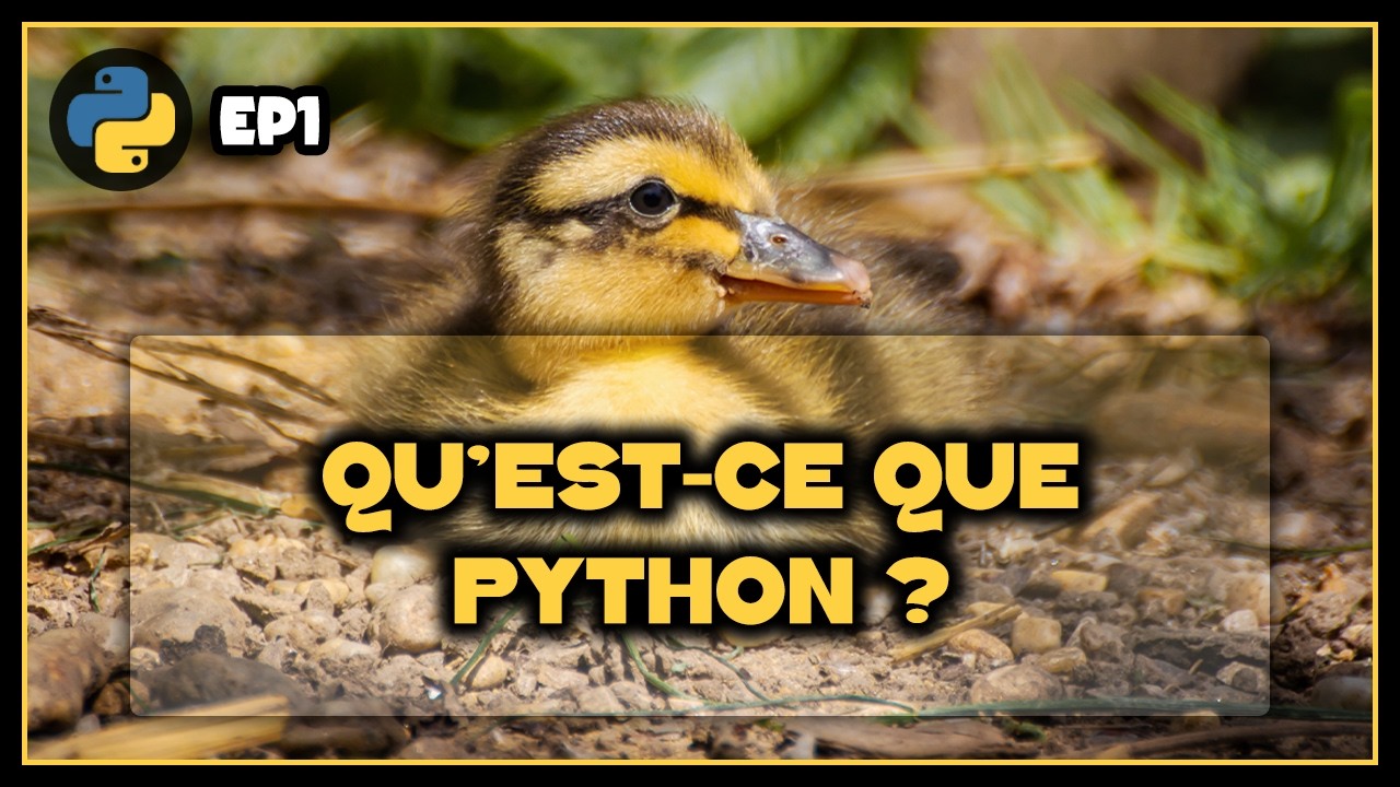 Introduction Python Ep1 Youtube