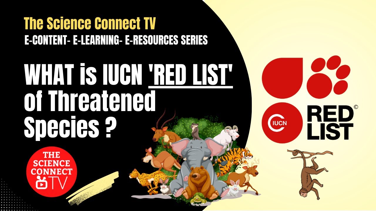 What Is Iucn Red List Of Threatened Species Wildlife Iucnredlist