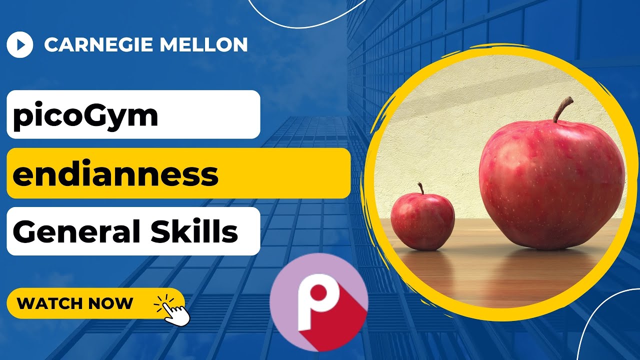 Picogym Picoctf Exercise Endianness Youtube