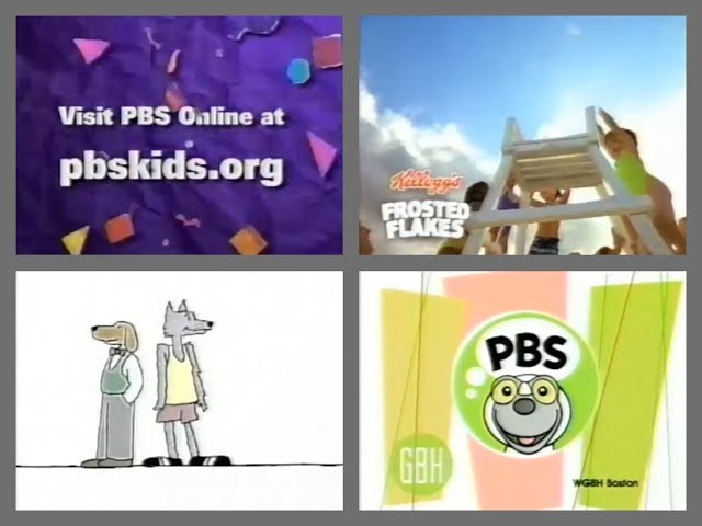 Bambini Pbs 2001 Dragon Tales Vhs Look On The Bright Side Adventures