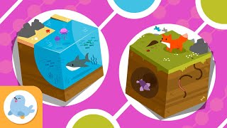 Food Chains Compilation Crash Course Kids Videos For Kids