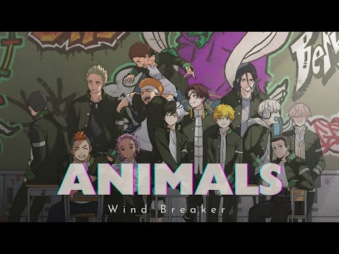 Wind Breaker Amv Animals Youtube