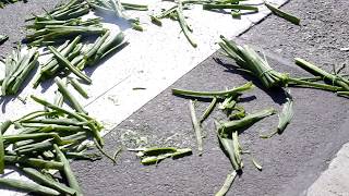 The Sound Of Money Let S Eat The Weed Remix Bb Island Mp3 Music & Mp4 ...