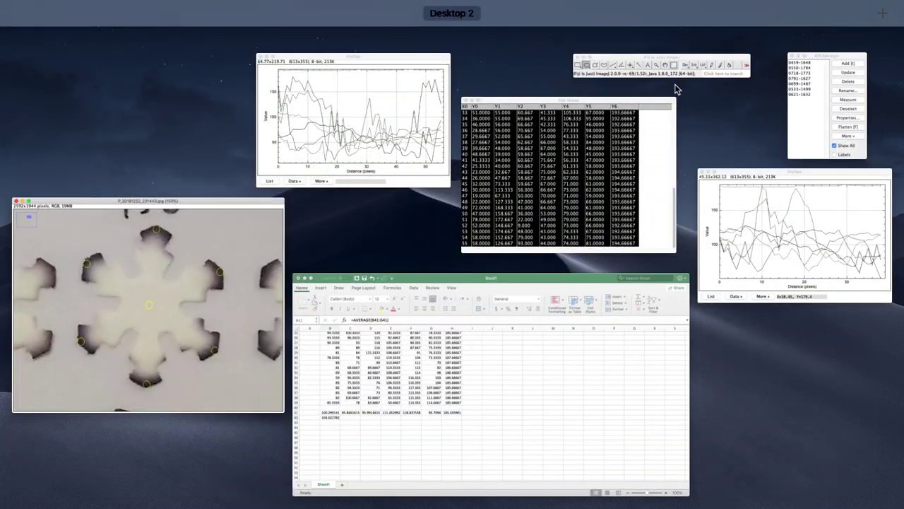 Roi Manager Imagej Youtube