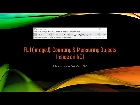 Fiji Imagej Counting Measuring Objects Inside An Roi Youtube