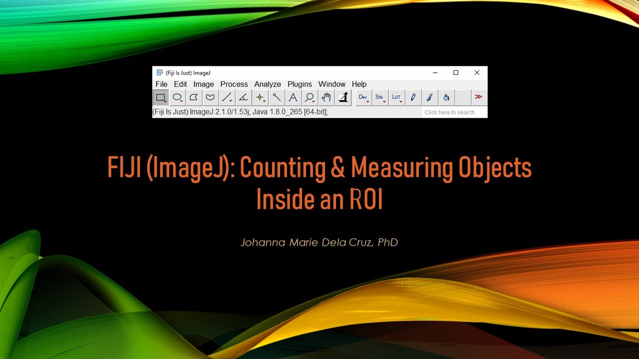 Fiji Imagej Counting Measuring Objects Inside An Roi Youtube
