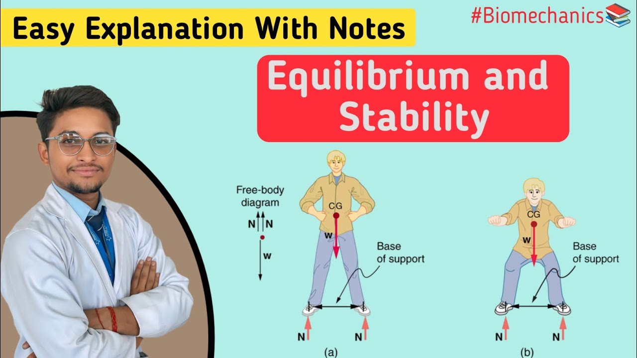 Equilibrium Introduction Factors Stability Types With Example