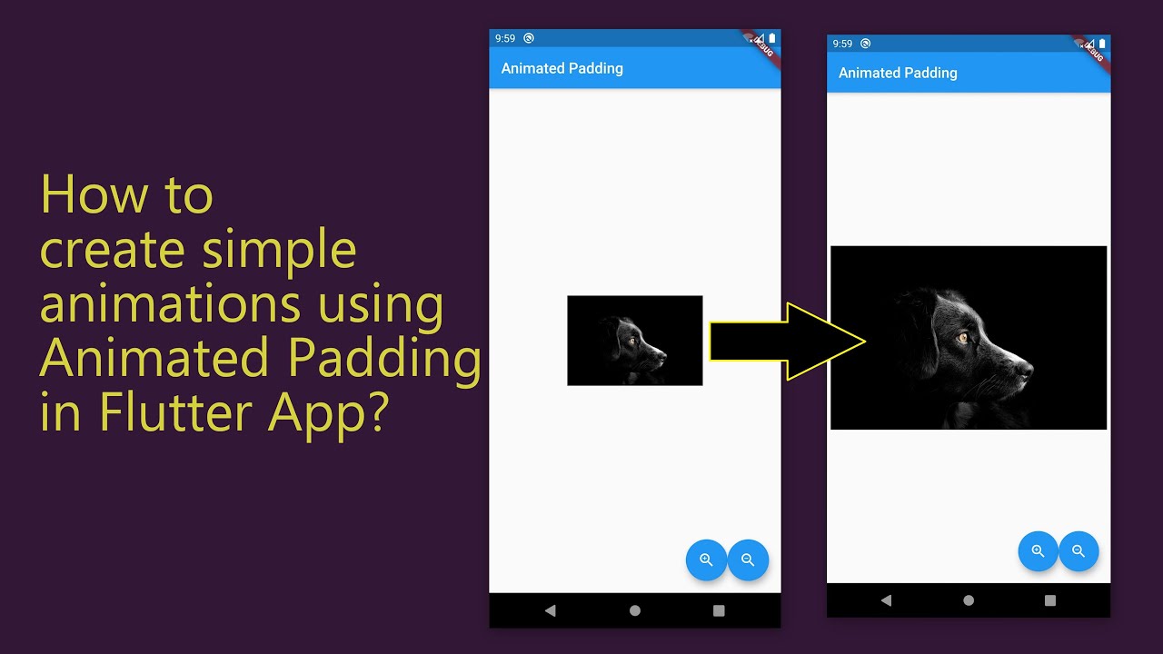 Animated Padding Widget In Flutter App Devkage Youtube