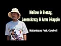 Malambane Leemckrazy Ft Mellow Sleazy Amu Kappie Cowboii Xtreme Tunes ...