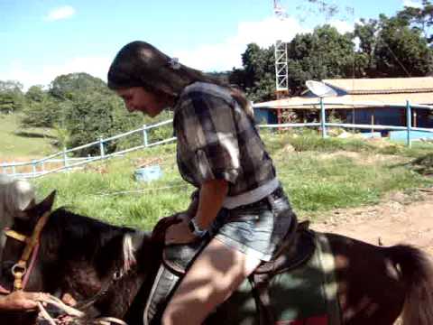 Escandalo Para Andar De Cavalo Youtube