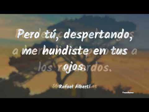 Frases Impactantes Para Abrir Los Ojos Md Pajedrez