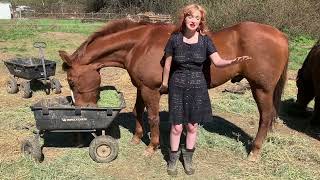 Dainty Rascal Dancing Horse Rescue Stories Heart Of Gold Sanctuary Mp3 ...