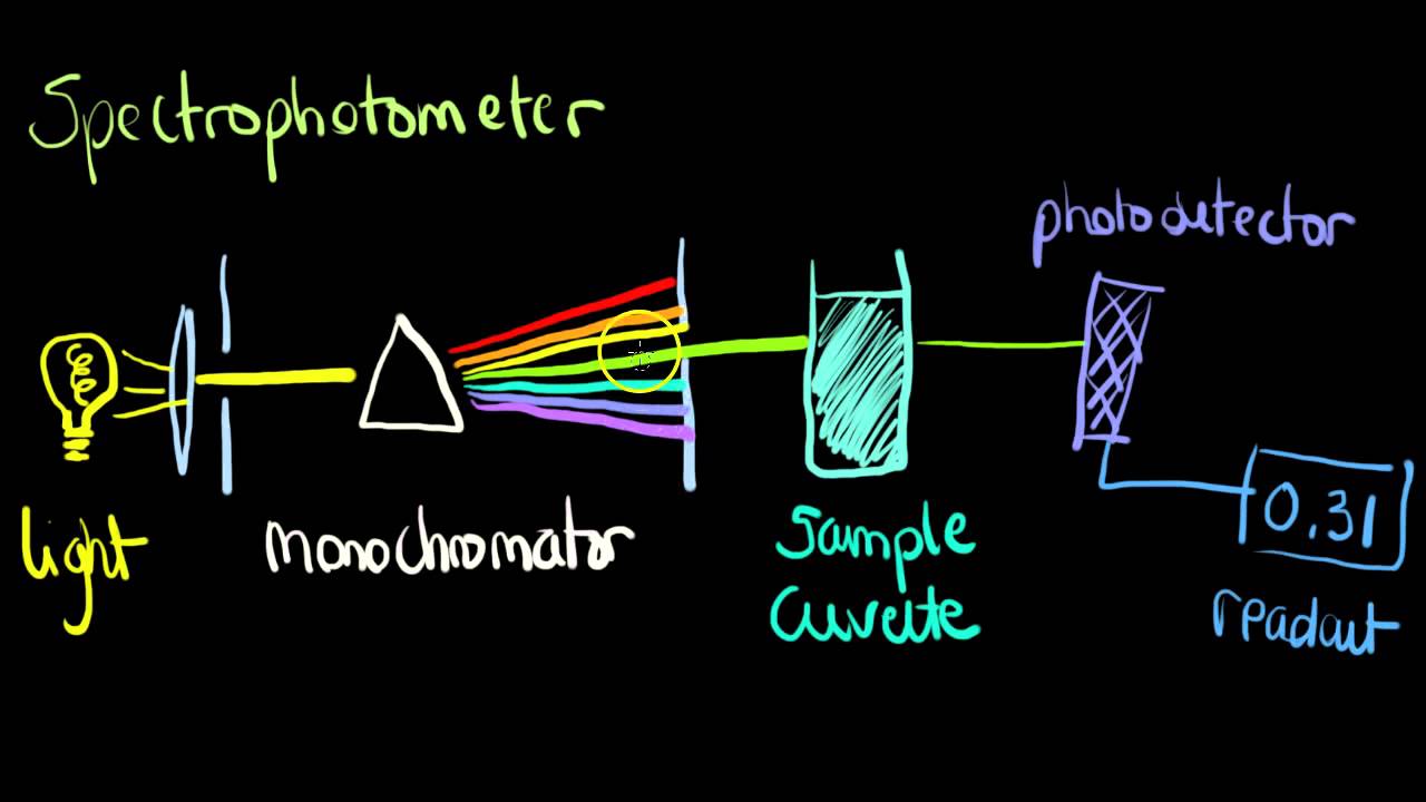 Clinchem Basic Spectrophotometer Youtube