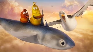 Larva Helping The Fish Cartoons For Children Larva Official