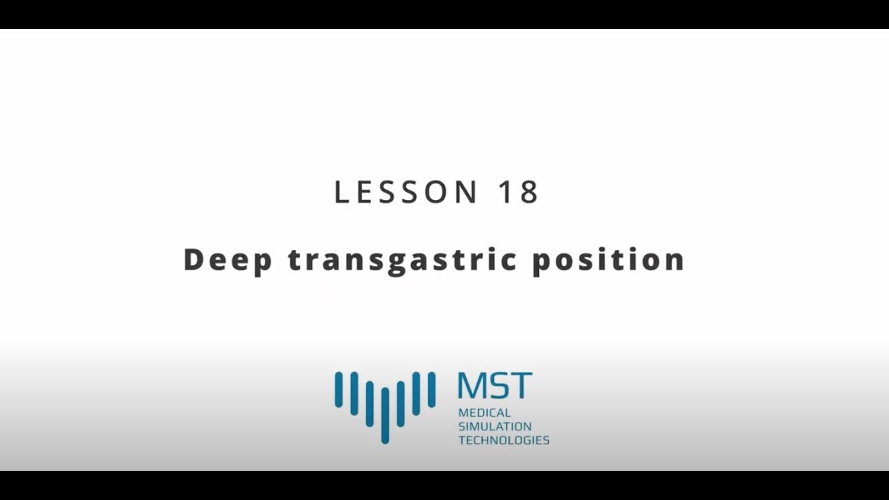 Mst Masterclass Medical Simulation Technologies