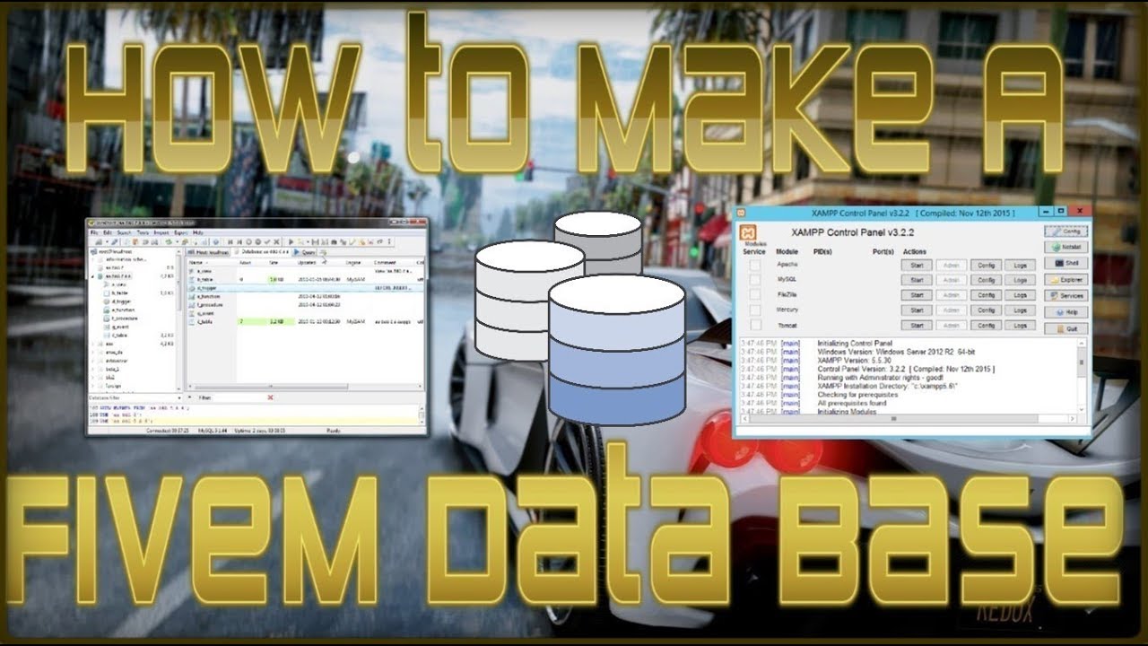 Fivem Application Data