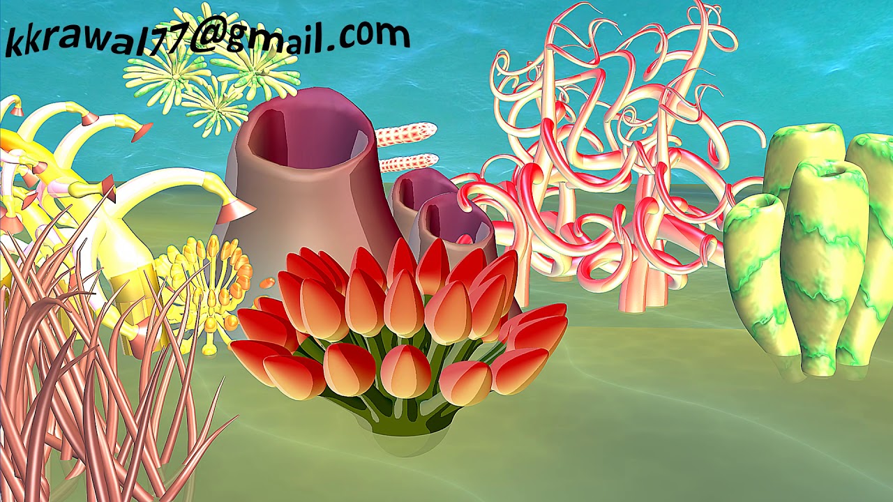 Under Water Animation Youtube