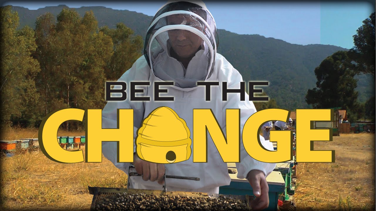 Bee The Change Full Video Youtube